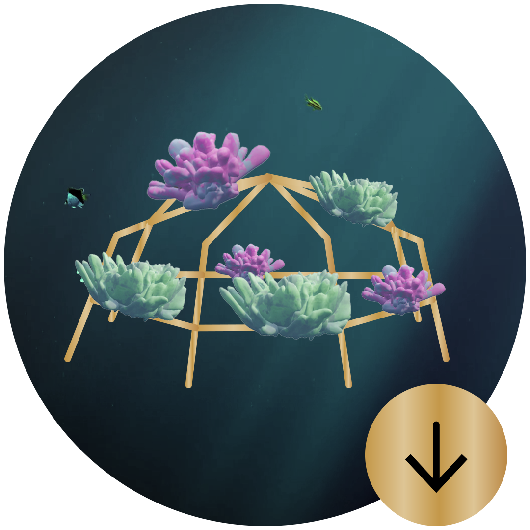 SHEBA HOPE GROWS™ | SHEBA US