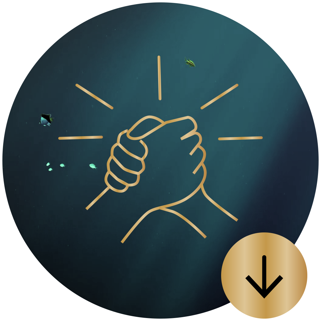 SHEBA HOPE GROWS™ | SHEBA US