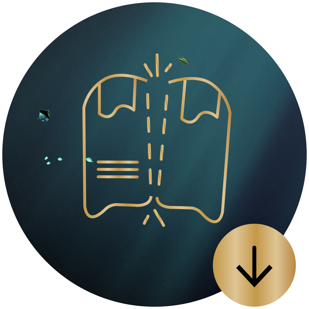 SHEBA HOPE GROWS™ | SHEBA US